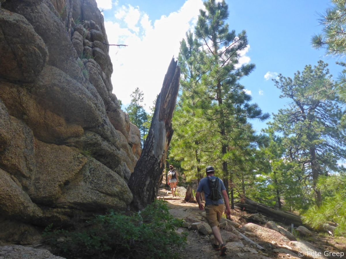 Hiking Aspen Peak / Hualapai Mountains, AZ | Live Like Pete